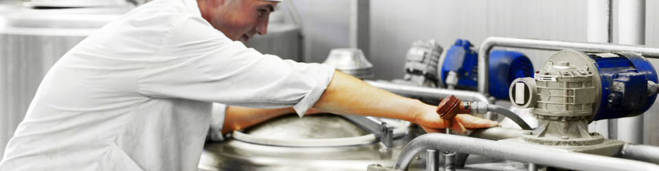 CURSO FOOD INDUSTRY MANAGEMENT - Curso Online | Euroinnova
