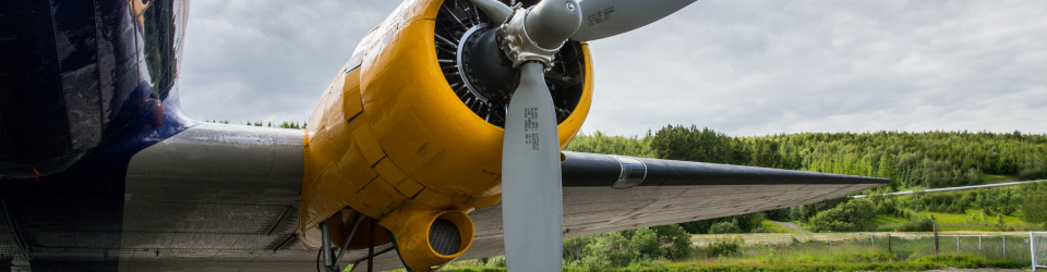 CURSO AGENTE HANDLING RAMPA - Cursos Online | Euroinnova