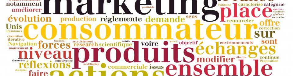 MAGÍSTER EN CONTROL DE GESTIÓN - Online | Euroinnova